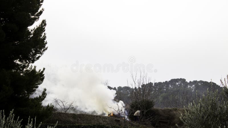 Smoke in the forest stock image. Image of blue, canyon - 84730303