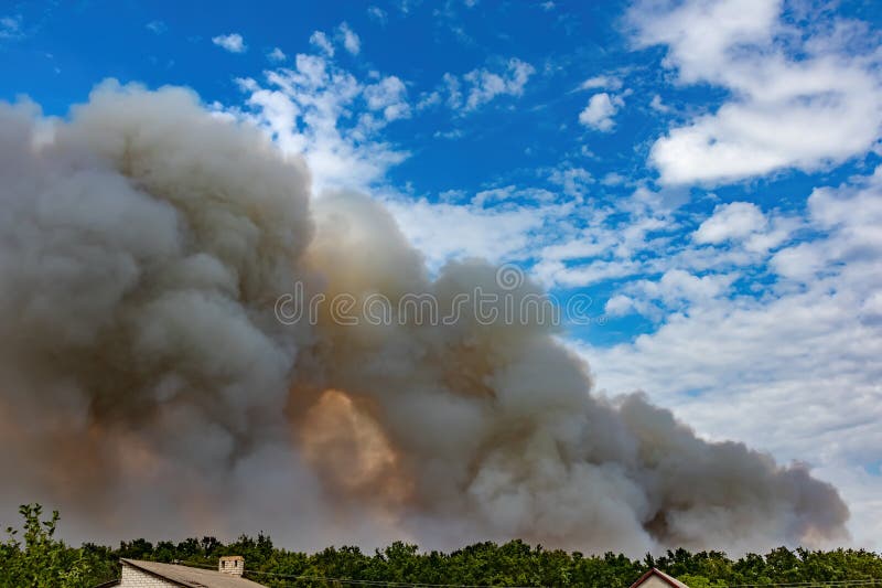 Smoke from a Forest Fire Rises into the Sky. Large Plumes of Smoke from ...