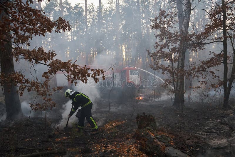 Smoke forest and fireman stock photo. Image of bushfire - 276917736