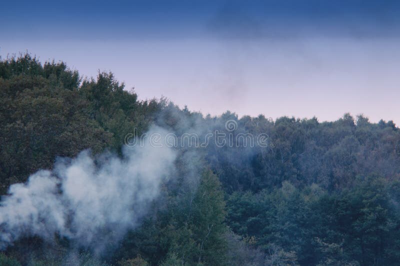 Smoke in the forest stock image. Image of fire, environment - 68792441
