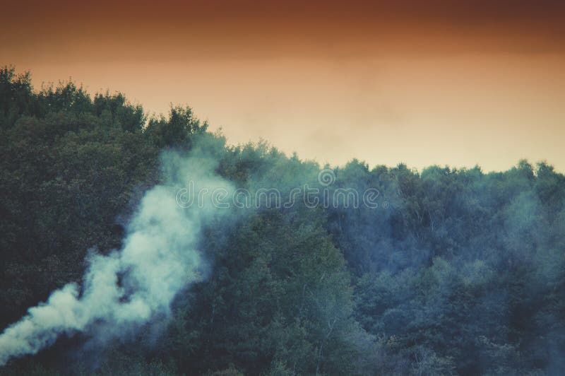 Smoke in the forest stock photo. Image of dark, natural - 69275176
