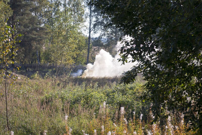 Smoke in forest stock image. Image of explosives, dense - 113235437