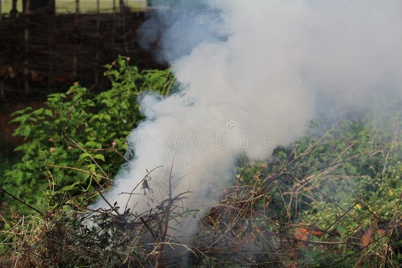 Smoke of Grass Burn stock image. Image of rural, grass - 118838429