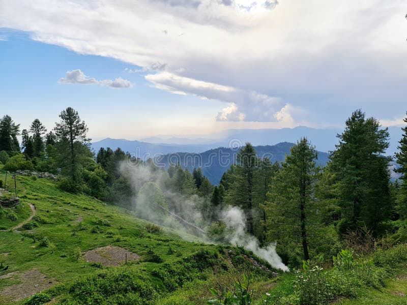 Smoke in Green Forest Cloudy Weather Stock Image - Image of wilderness ...