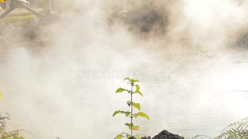 Smoke Hot Spring from Hot Springs Stock Video - Video of comfortable ...