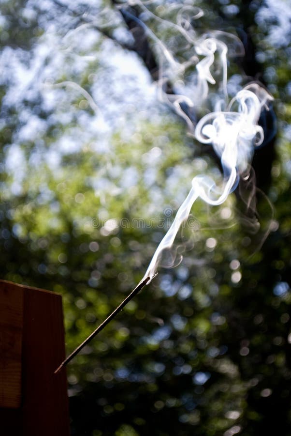 Smoke from Incense stock photo. Image of flora, branch - 114023116