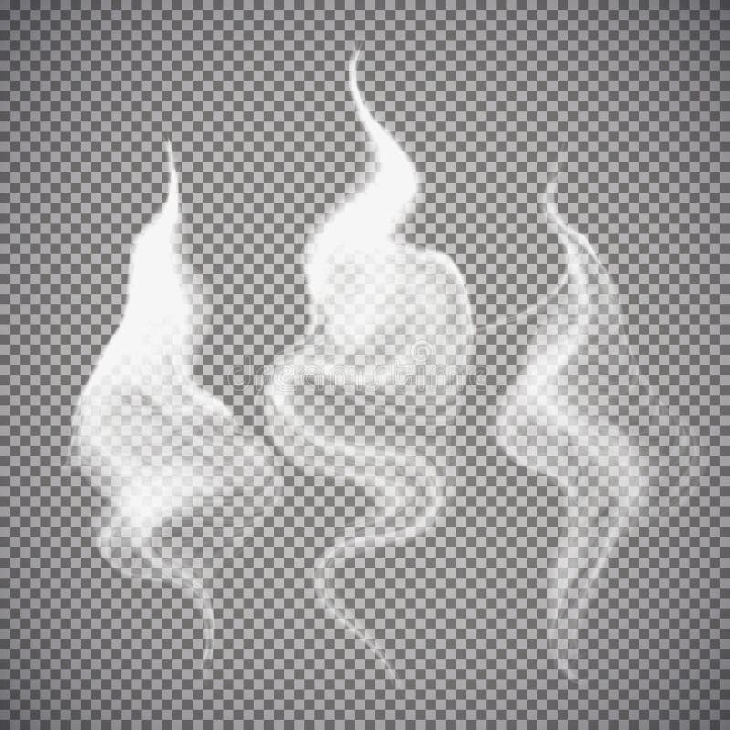 Smoke isolated transparent stock vector. Illustration of decorative ...