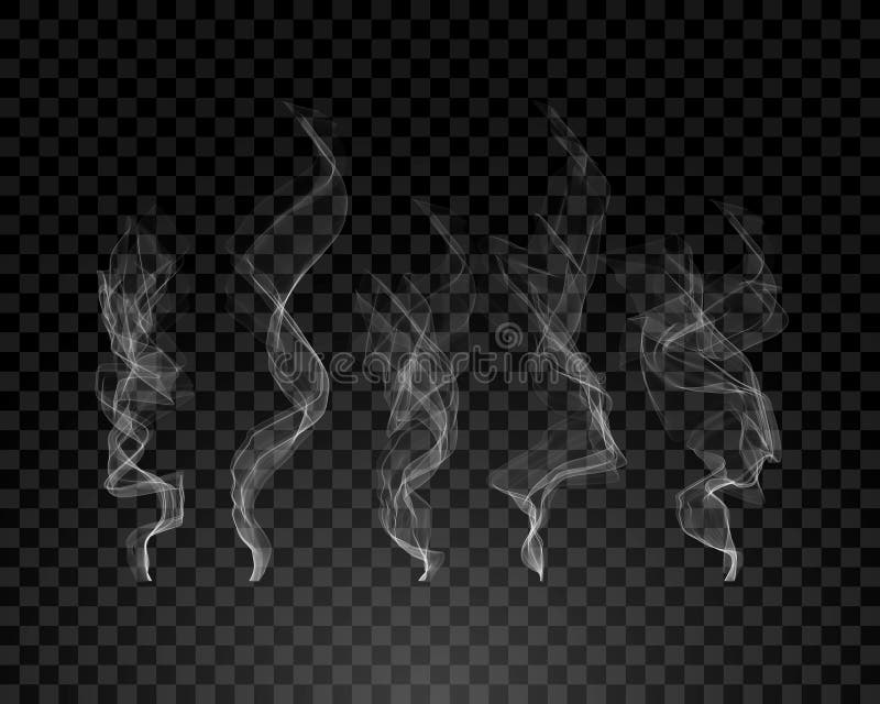 Smoke Isolated on Transparent Background. Cigarettes Smooth Smoke Set ...