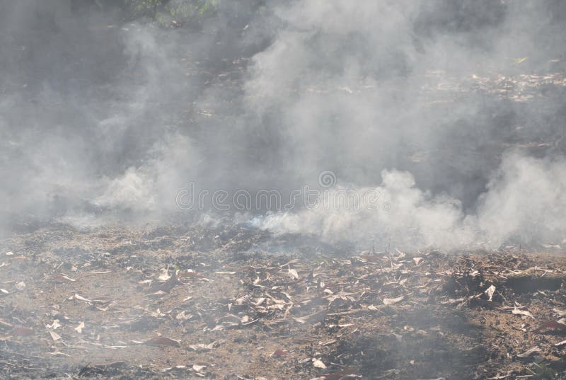 Smoke from Leaf Burning on Ground in Garden Stock Photo - Image of ...