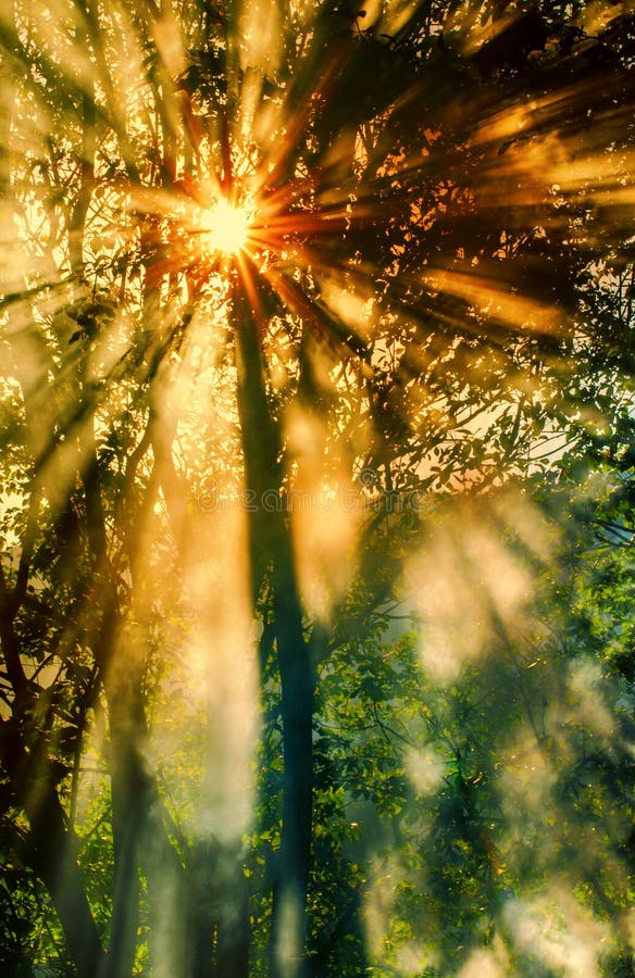 Smoke&Mist imagen de archivo. Imagen de rumania, sunset - 39719379