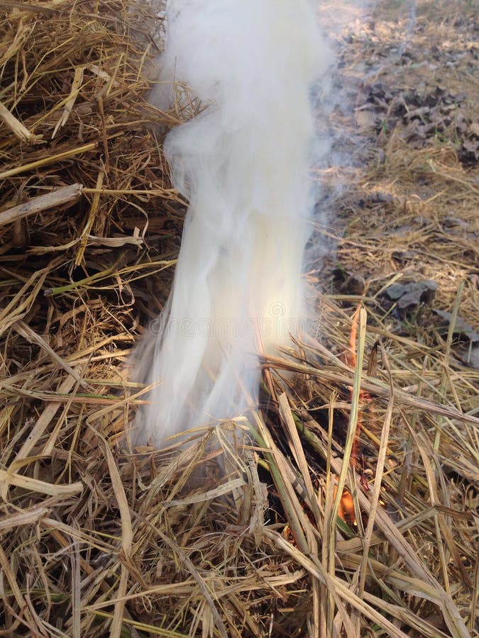 Smoke n fire stock photo. Image of smoke, fire, 12156 - 61262960