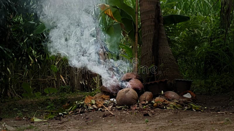 Smoke stock image. Image of nature, coconut, tree, smoke - 156817183