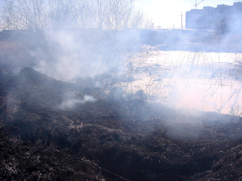 Smoke Over Burning Land Forest Fire with Black Soil Natural Disaster ...
