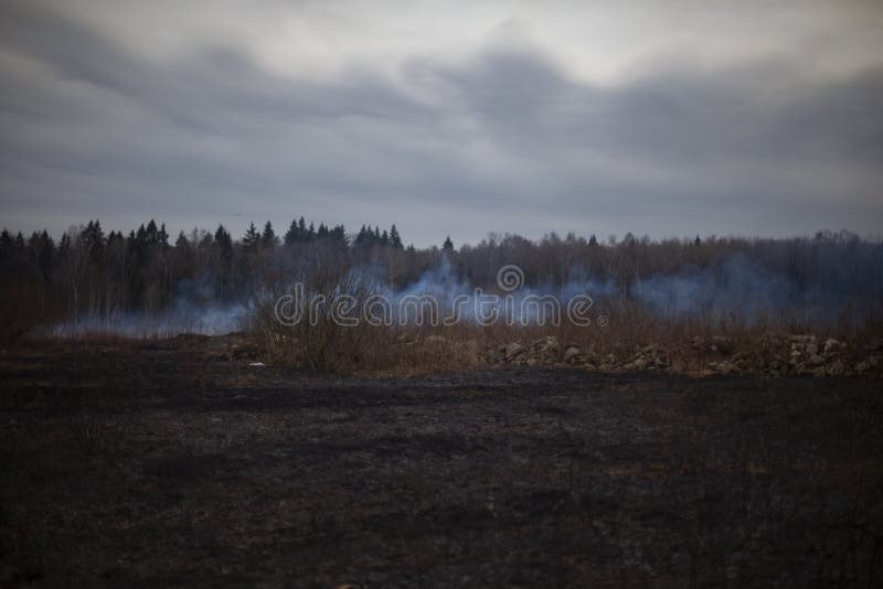 Smoke Over the Forest. the Forest is Burning on the Horizon Stock Image ...