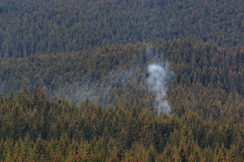 Smoke Over Forest in Mountains Stock Image - Image of pine, forest ...