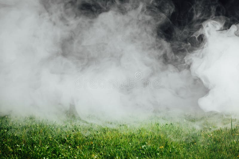 Smoke Over the Green Grass Lawn Stock Photo - Image of backyard, garden ...