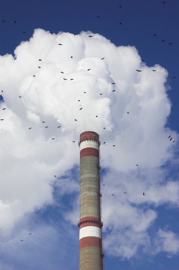 Smoke pipe and birds stock image. Image of chemical, bird - 2064147
