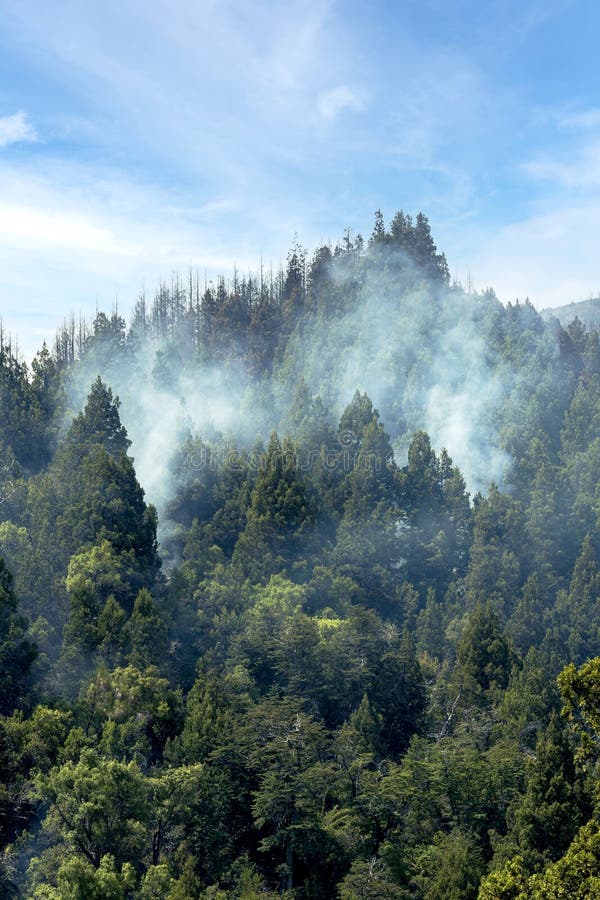 Smoke Rise from a Forest Fire Stock Photo - Image of wilderness ...