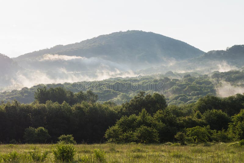 Smoke Rises from the Green Forest. the Sky is Covered with a Haze ...
