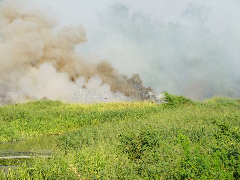 Smoke rising from burning stock photo. Image of flame - 71747174