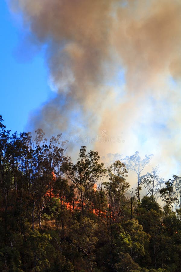 Smoke Rising from Bushfire stock image. Image of danger - 34971737