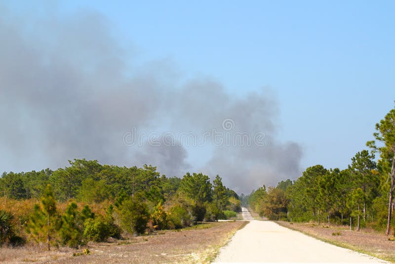 Smoke Rising in Florida stock image. Image of billow - 19545147