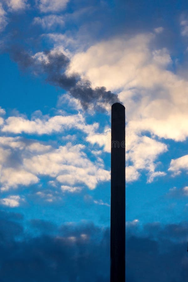 418 Stack Plume Stock Photos - Free & Royalty-Free Stock Photos from ...