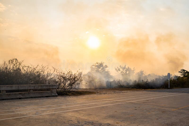 Smoke and Fire on the Roadside, Air Pollution Stock Photo - Image of ...