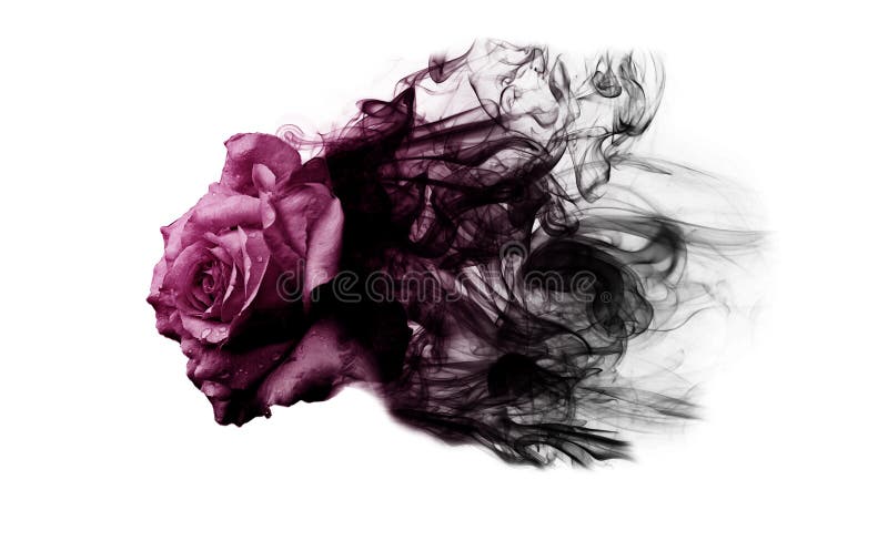 Smoke Rose from. the Smoke Rose from Stock Image - Image of anniversary ...