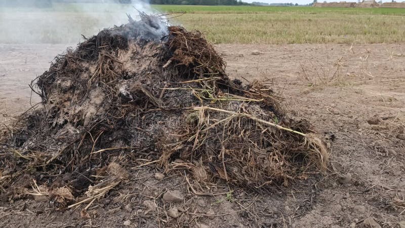 Smoke from a Smoldering Fire Stock Video - Video of garbage, firewood ...