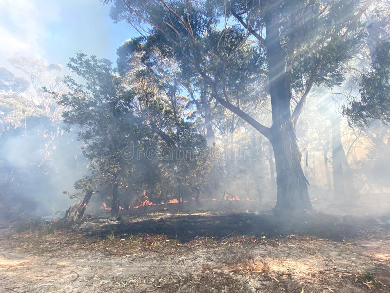 Bushfire Australia 4 stock image. Image of smoked, bush - 44653027