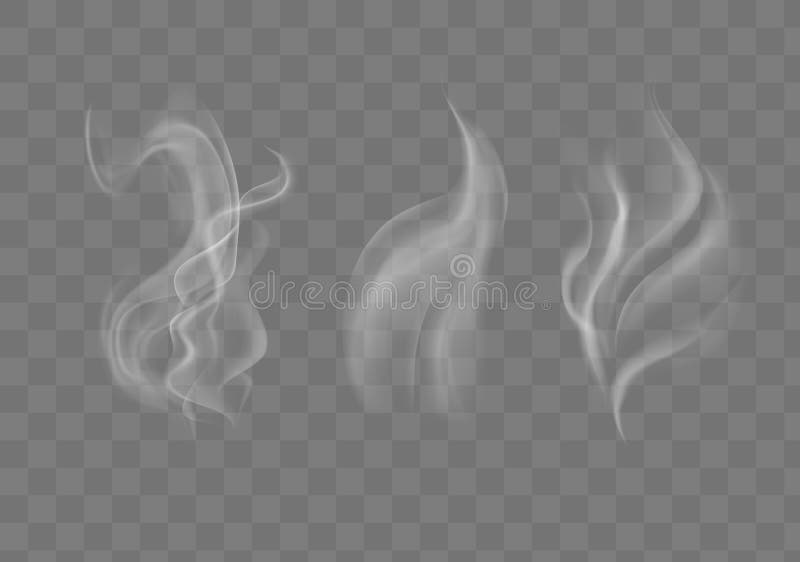 Smoke Vector Collection. White Isolated Cigarette Smoke. Transparent ...