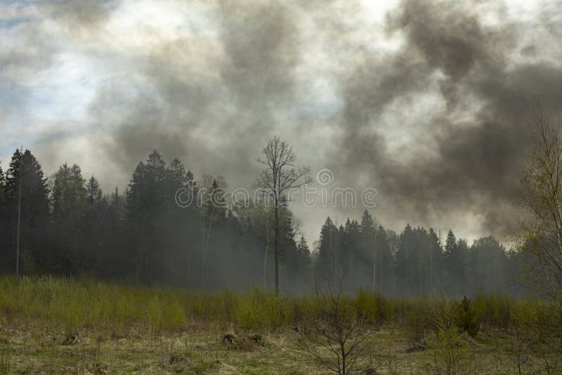 Smoke in Woods. Fire in Nature. Black Smoke in Countryside Stock Image ...
