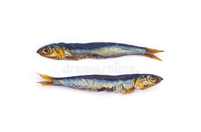 2 Smoked Anchovy Fishes, Isolated on White Stock Photo - Image of group ...