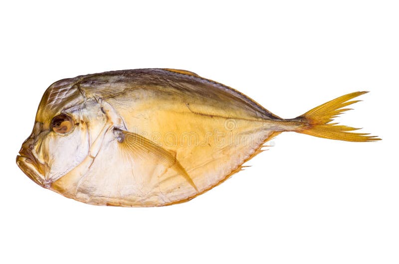 Smoked atlantic moonfish stock photo. Image of dried - 33193532