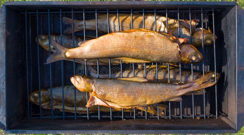 Smoked Fish Baikal Golomyanka Comephorus Baikalensis Stock Image ...
