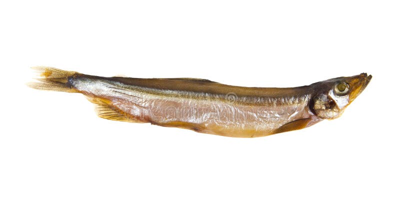 Smoked Capelin Isolated on White Background Stock Photo - Image of ...