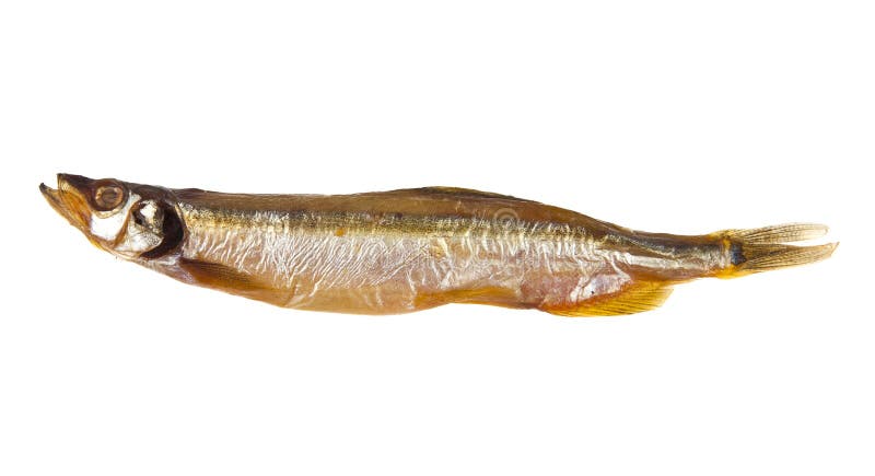Smoked Capelin Isolated on White Background Stock Photo - Image of ...