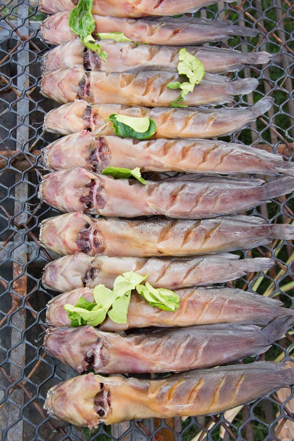 320 Smoked Catfish Stock Photos - Free & Royalty-Free Stock Photos from ...