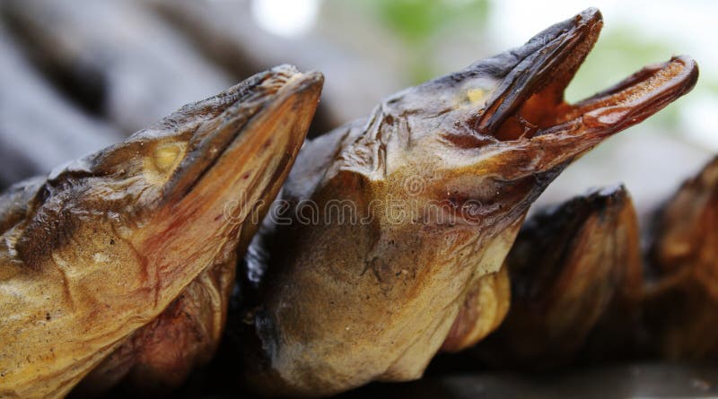 Smoked Eels stock photo. Image of fish, restaurant, beverage - 6102154