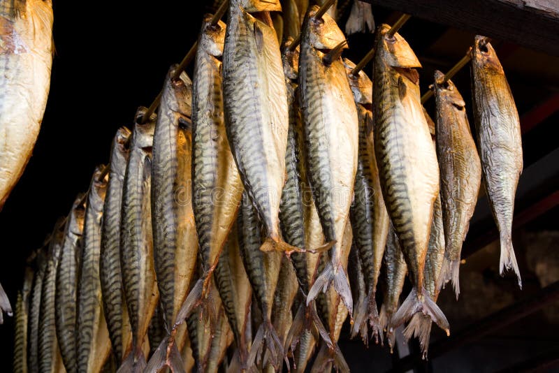 Smoked fish stock image. Image of hang, rows, seafood - 15210375