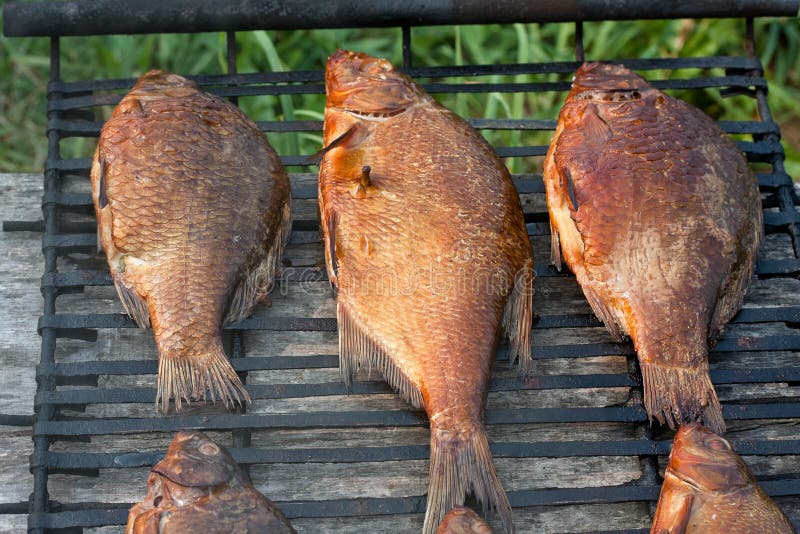 Smoked fish stock photo. Image of smoke, grass, cook - 18387474