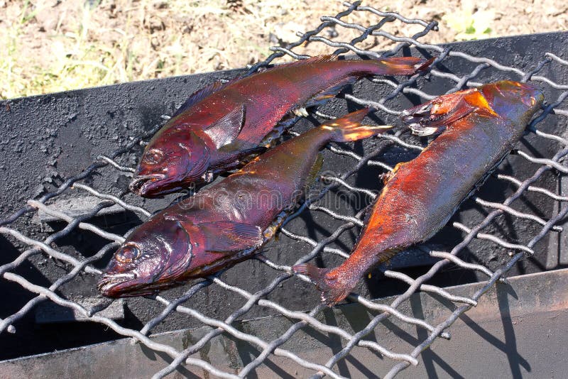 Smoked fish stock photo. Image of smoked, smokehouse - 20408110