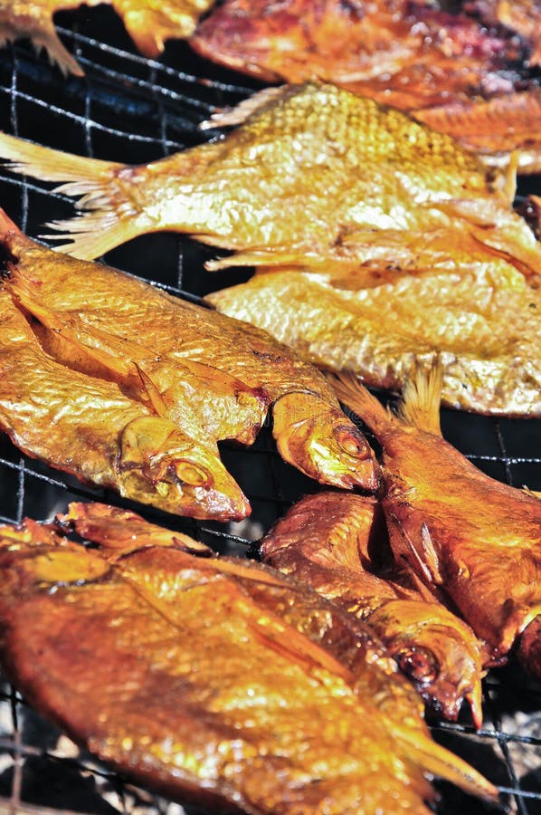 Smoked fish stock photo. Image of salmon, smokehouse - 19685224