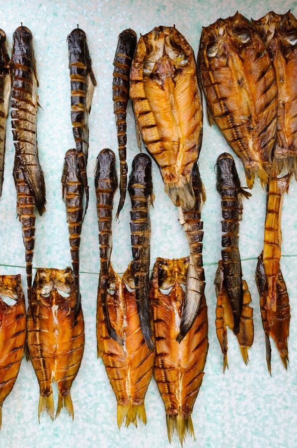 Smoked fish stock photo. Image of fish, gourmet, food - 22883772