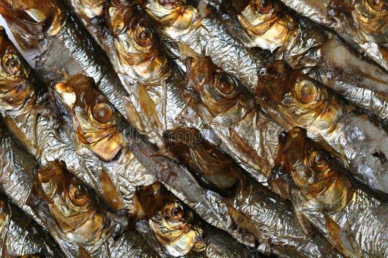 Smoked Fish, Blue Warehou Fillet, Seriolella Brama or Common Warehou ...