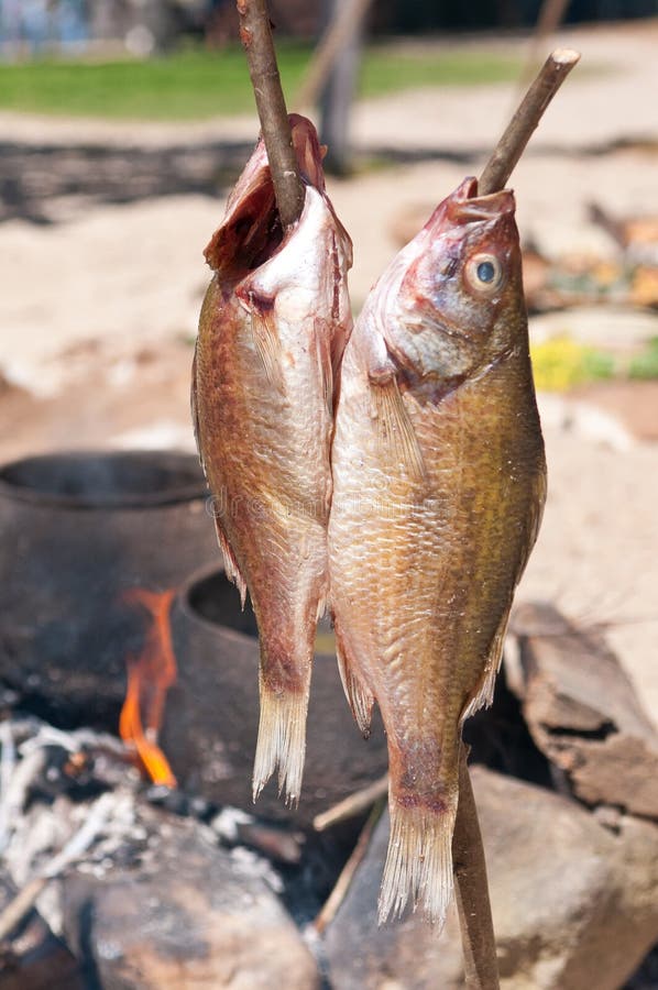 Smoked Fish stock photo. Image of snack, pond, fish, healthy - 25568356