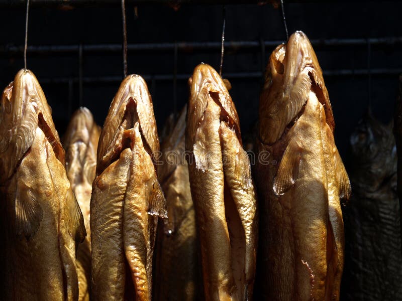 Smoked fish stock image. Image of pantry, fishery, fried - 25734937