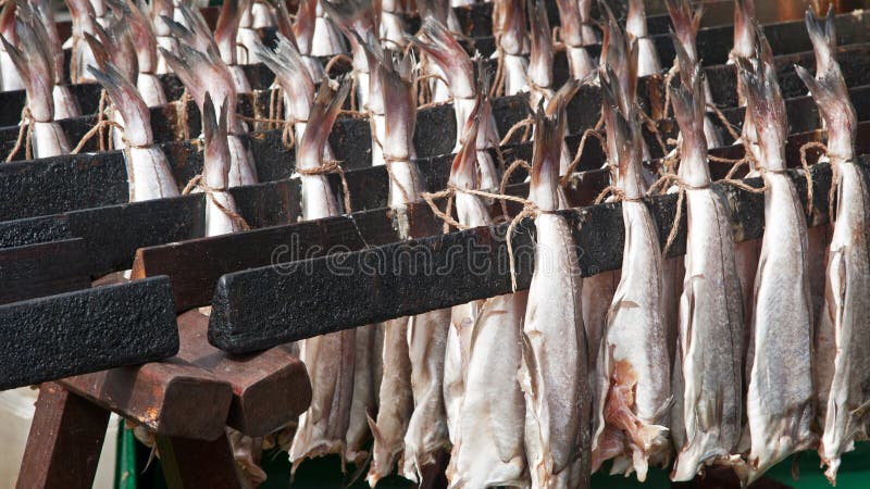 Slabs of Fish stock image. Image of fresh, sale, marine - 5010645