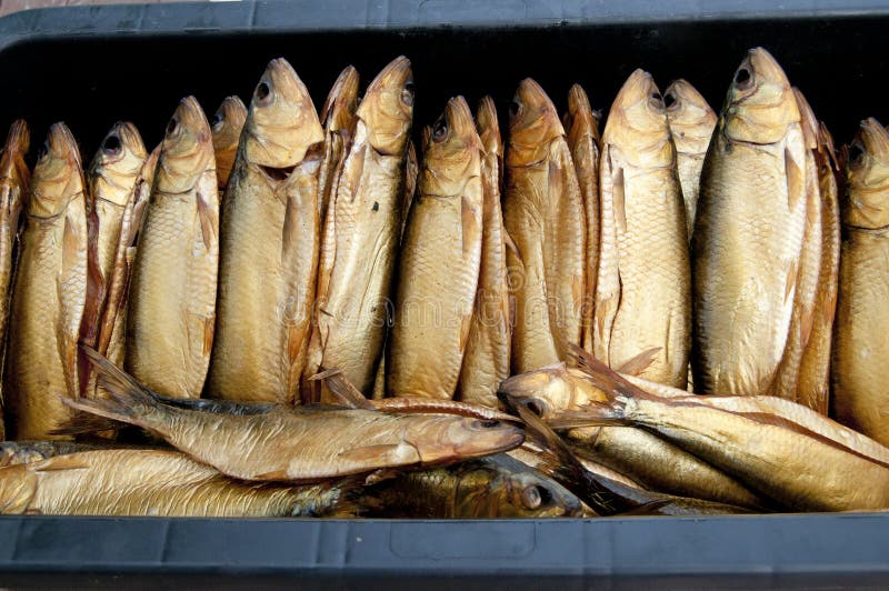 Smoked fish stock image. Image of fish, healthy, delta - 29467917